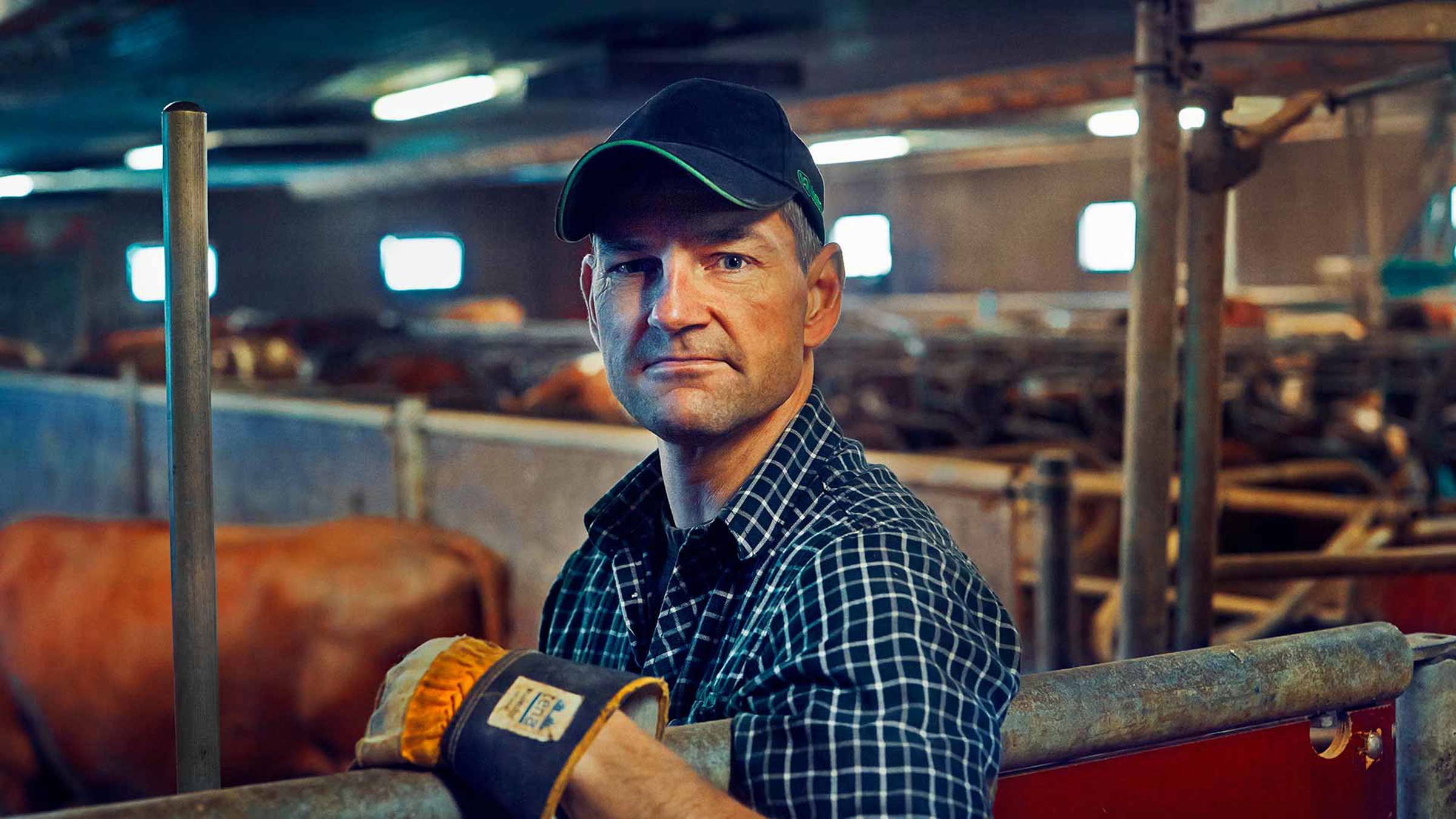 Arla® Quesos en lonchas y al corte | Arla Foods dairy product provides ... Arla® Quesos en lonchas y al corte | Arla Foods dairy product provides ...